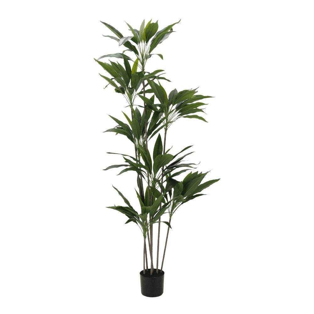 Velvet Tree Δεντρο Τεχνητο Σε Γλαστρα 160 Pvc Πρασινο Μαυρο Τσιμεντο ...